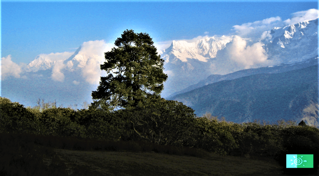 Lamjung Trek: The Ultimate Experience of History, Nature, and Adventure ...