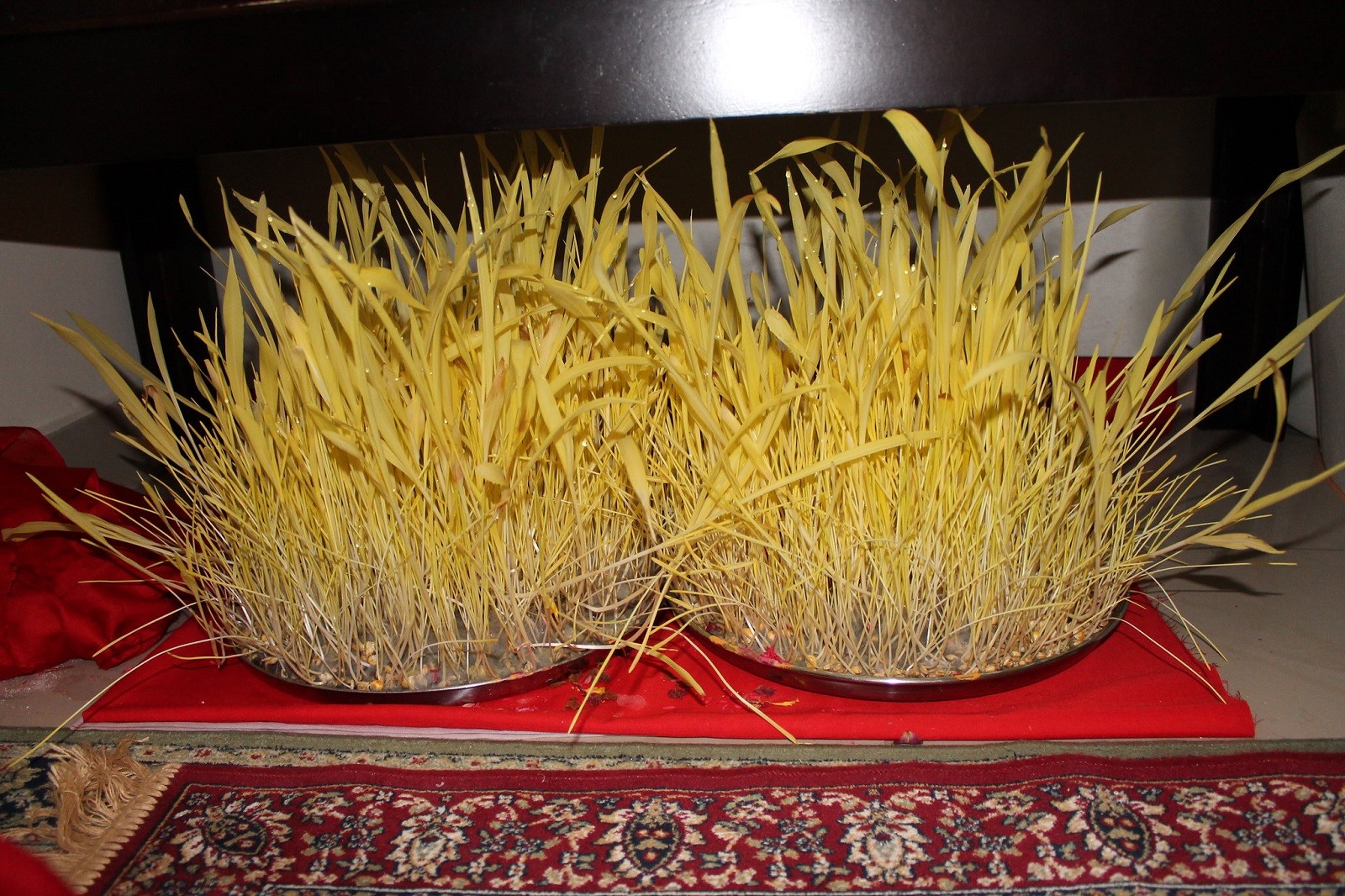 Dashain – The Auspicious Festival of Nepal - Nepal Sanctuary Treks